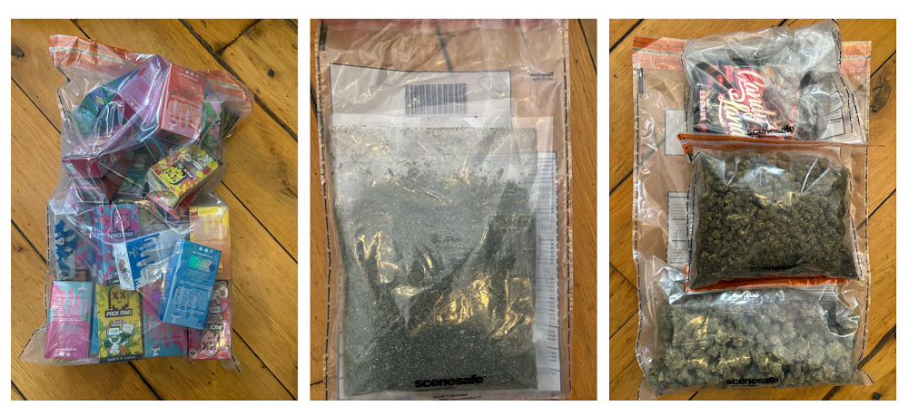 Project Medusa officers deploy to Brighton to target drug supply ...