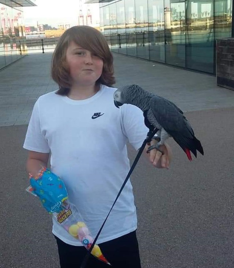 Further tribute issued by the family of Ellis Cox | Merseyside Police
